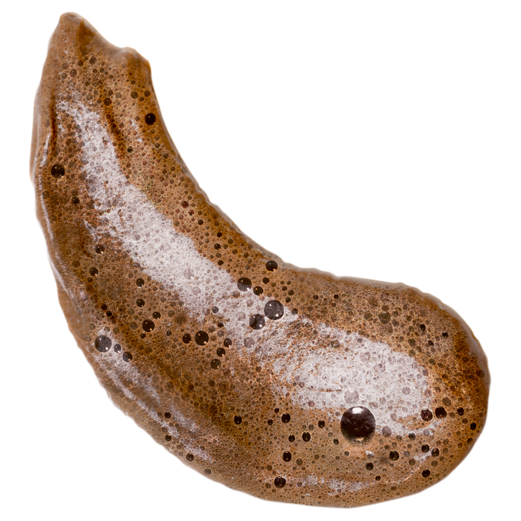 Coco & Eve Honey Bali Bronzing Foam - Coco & Eve Fake Tan - Adore Beauty