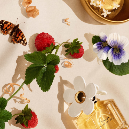 MARC JACOBS Daisy Eau de Toilette 100ml AU | Adore Beauty