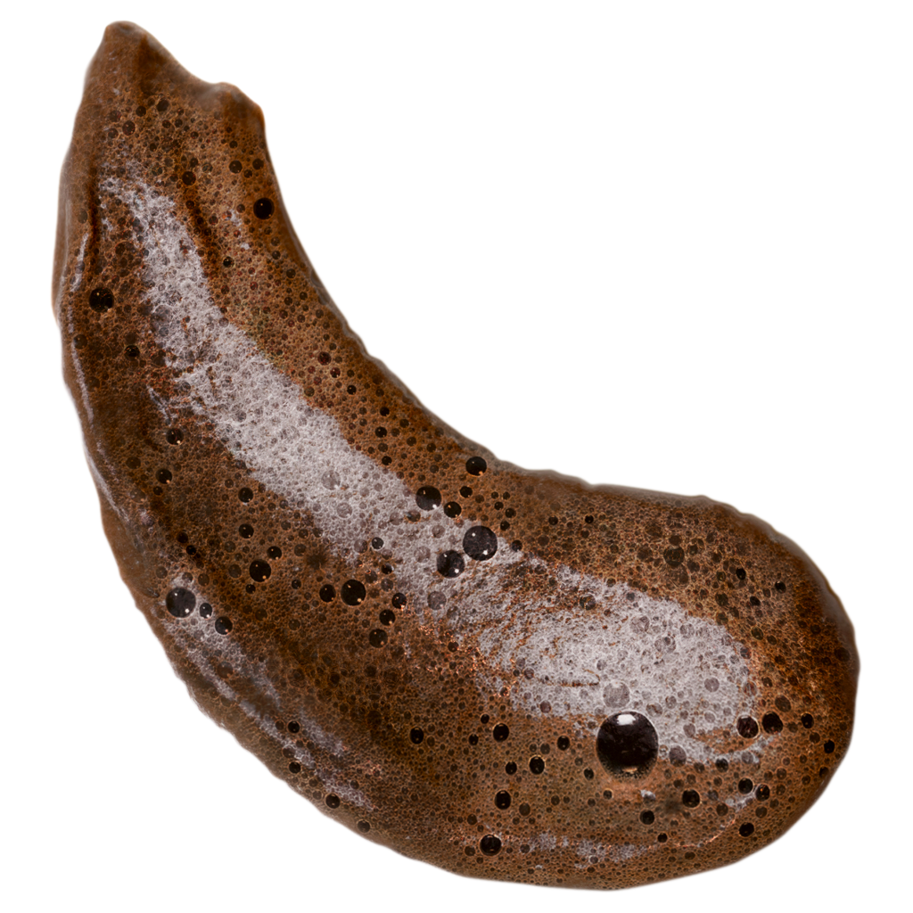 Coco & Eve Honey Bali Bronzing Foam - Coco & Eve Fake Tan - Adore Beauty