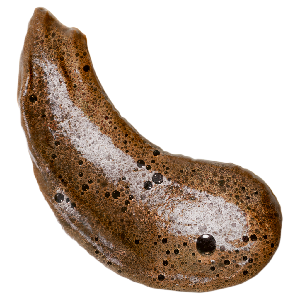 Coco & Eve Self Tan Travel Kit (Dark) AU | Adore Beauty