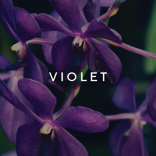 Creed Love in Black 75ml EDP AU | Adore Beauty