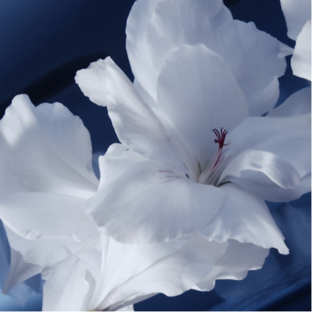 Yves Saint Laurent Y Elixir 10ml - Adore Beauty