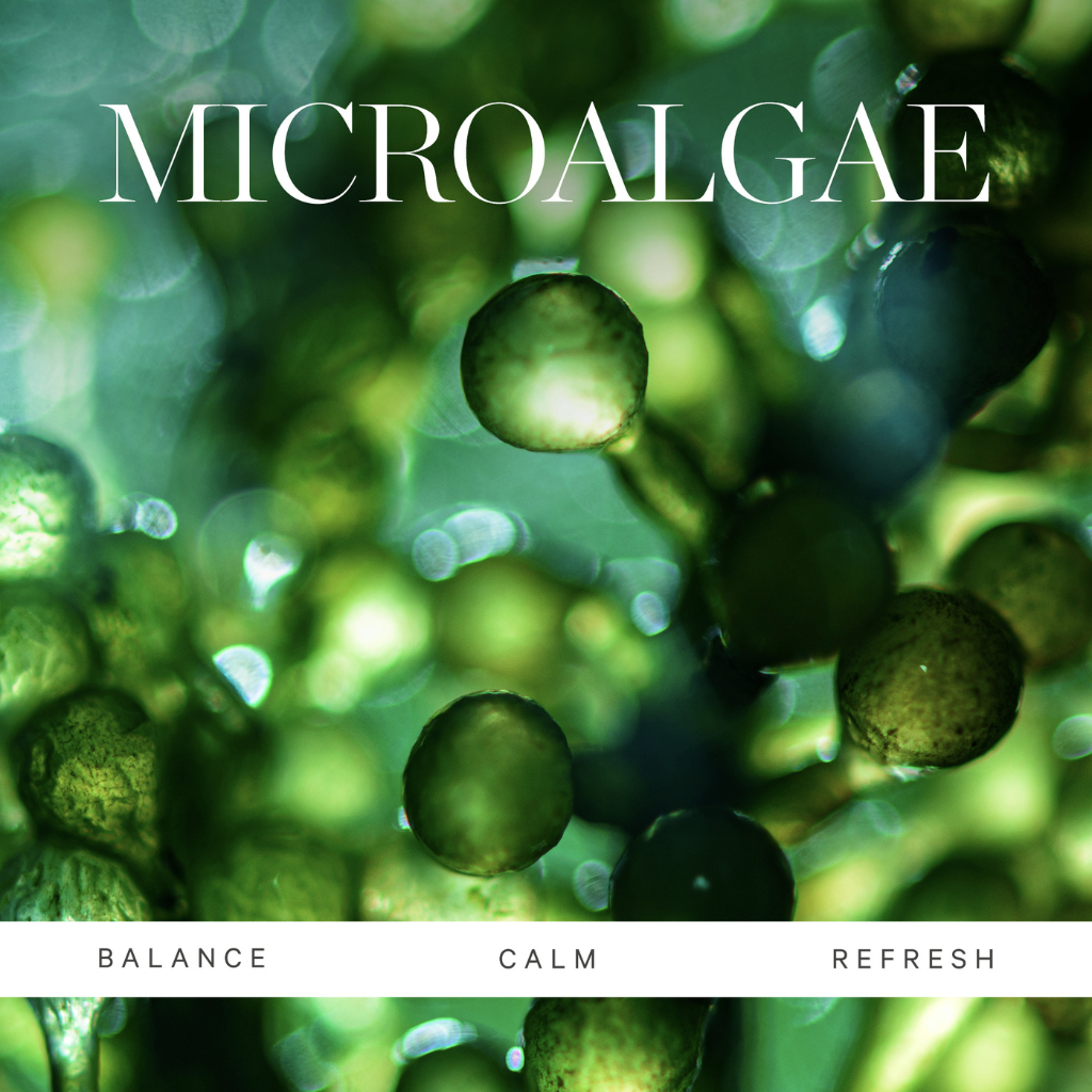 Kora Organics Active Algae Calming Cleansing Balm 30ml - Adore Beauty